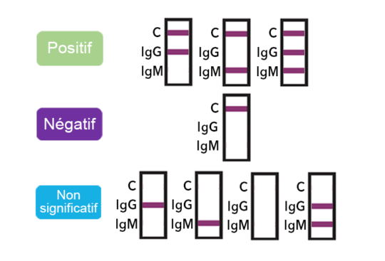 Test sérologique COVID-19 - Laboratoire Toda Pharma